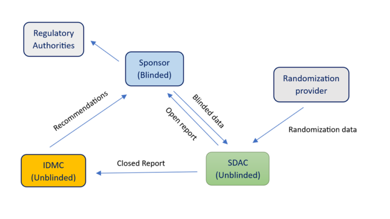 Essential Insights for Pharma and Biotech: Understanding IDMCs – Part 2 ...